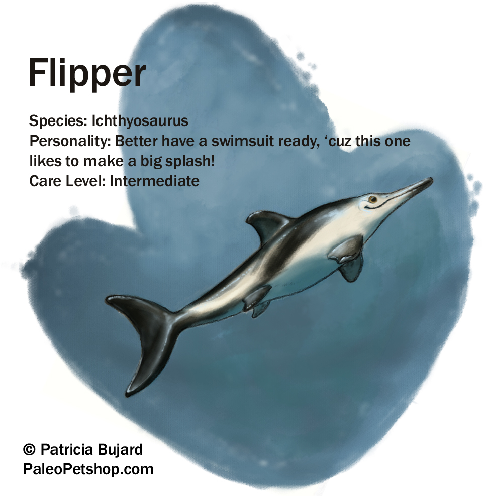 Critter of the Week: Ichthyosaurus – Pete's Paleo Petshop