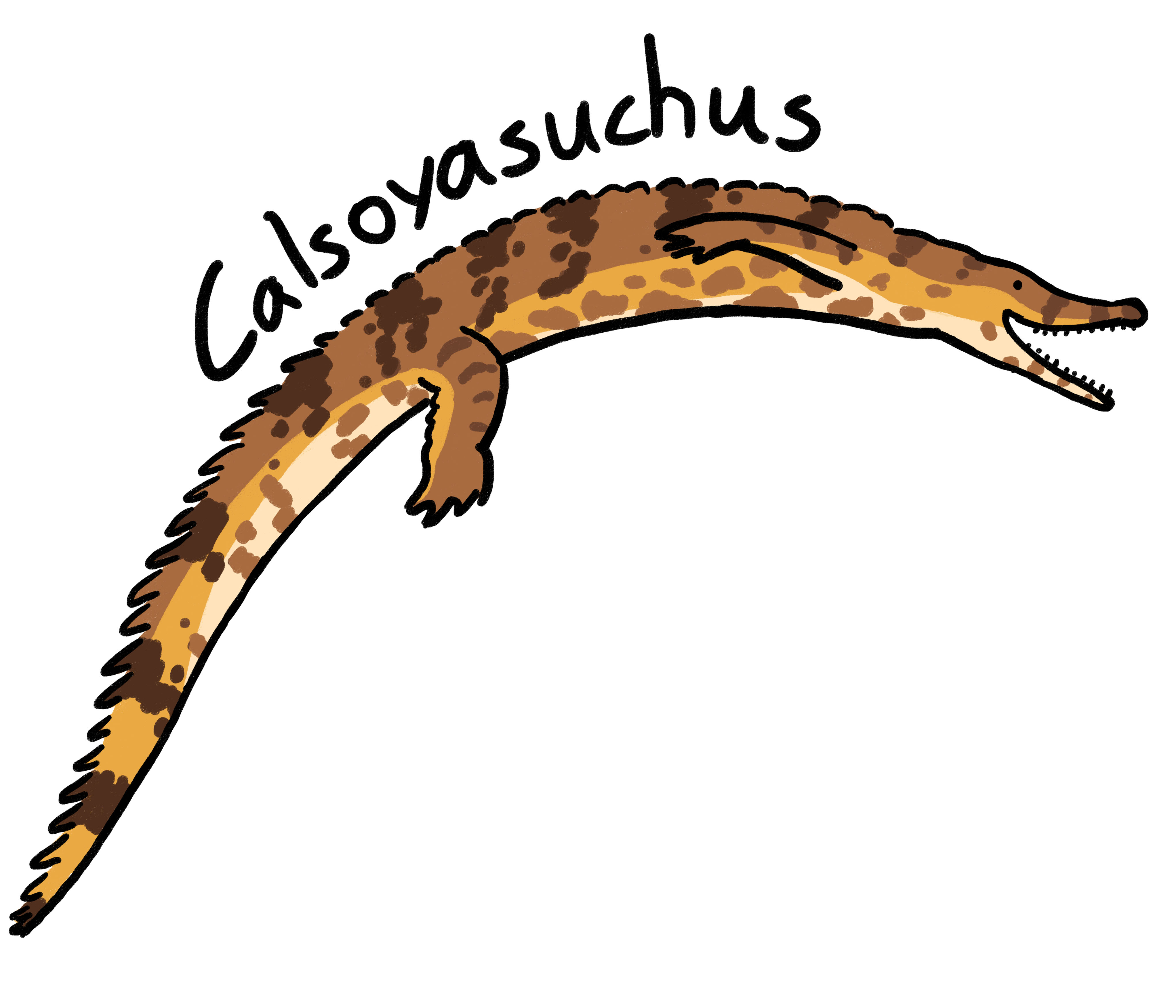 Fossil Friday: Calsoyasuchus – Pete's Paleo Petshop