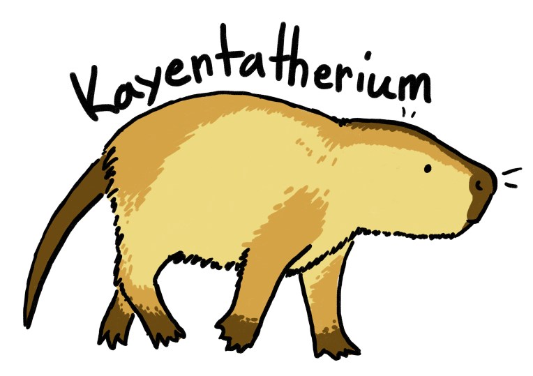 Fossil Friday: Kayentatherium – Pete's Paleo Petshop