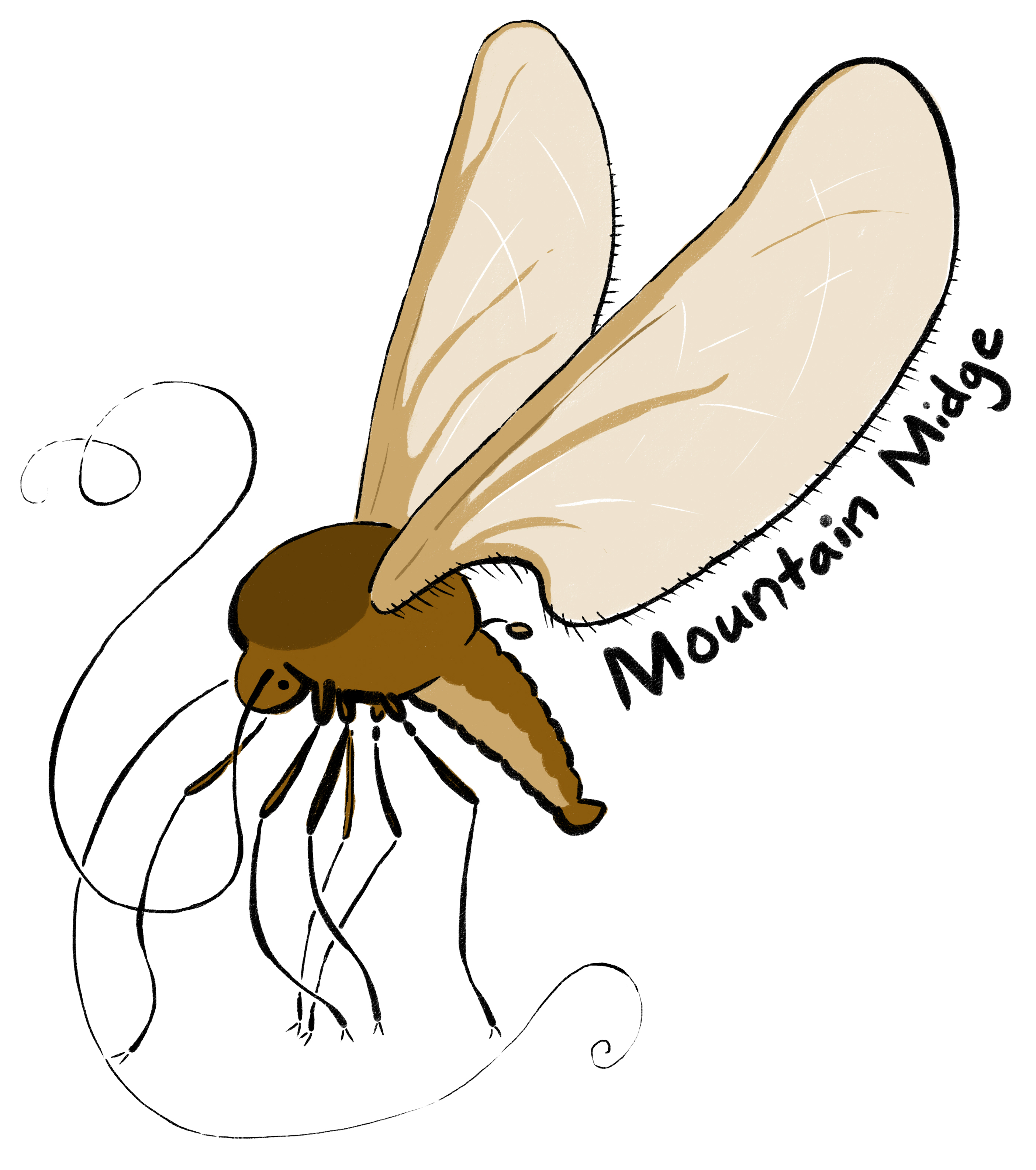 Fossil Friday: Insects Part 3 – Pete's Paleo Petshop