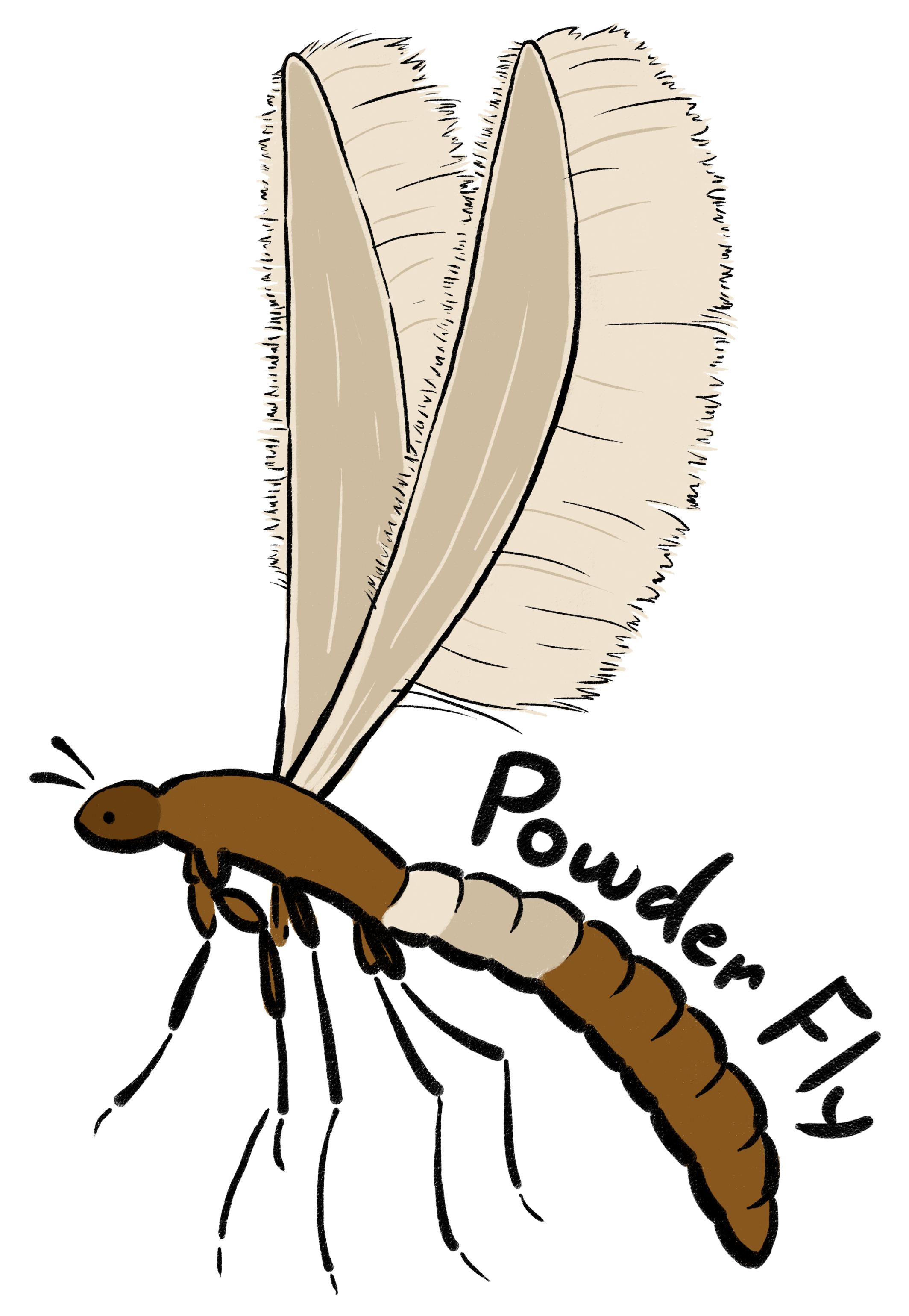Fossil Friday: Insects Part 3 – Pete's Paleo Petshop