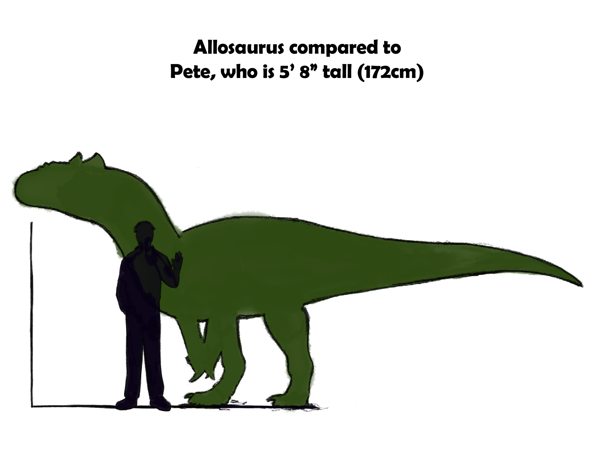 Fossil Friday: Allosaurus – Pete's Paleo Petshop