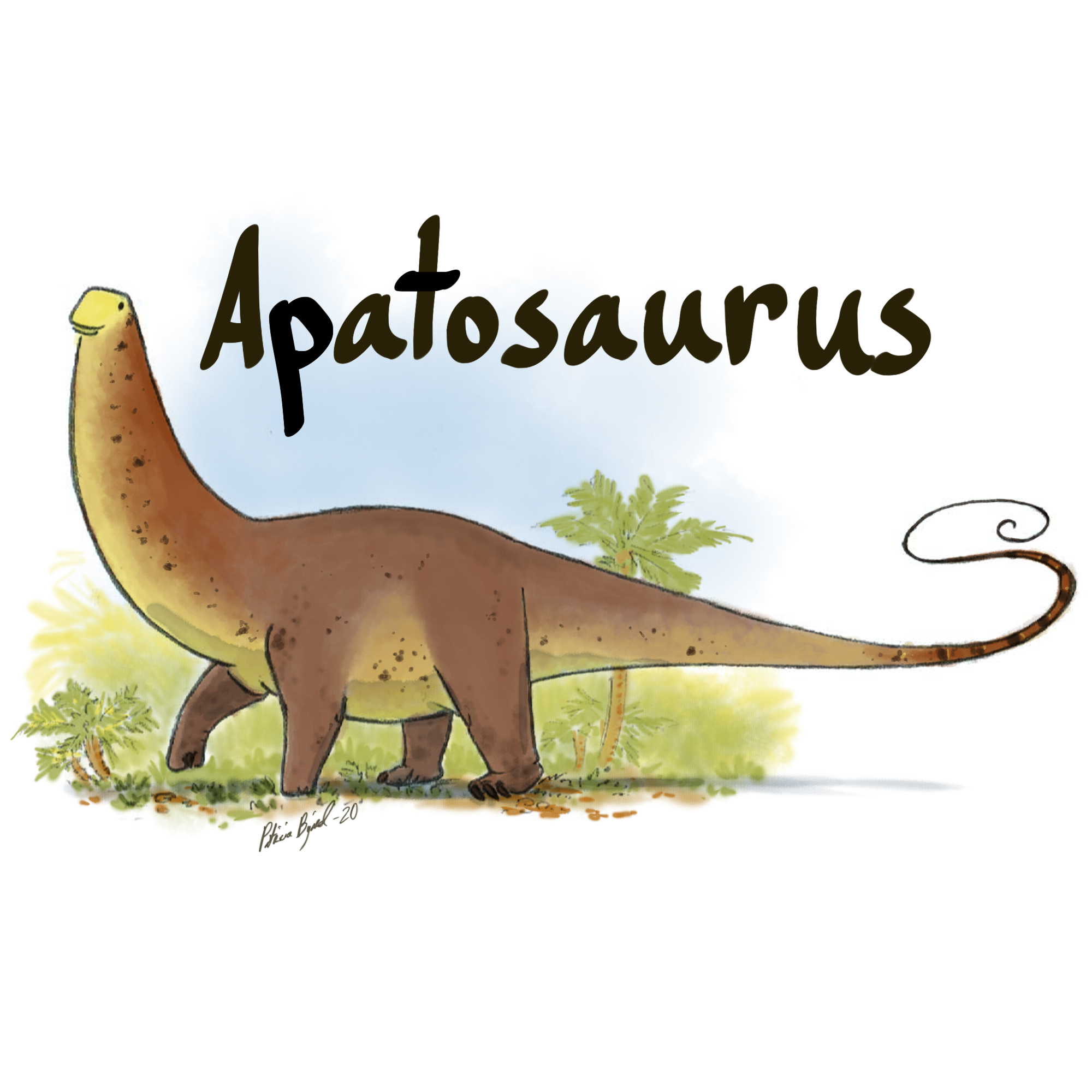 Fossil Friday: Apatosaurus – Pete's Paleo Petshop