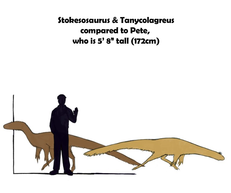 Fossil Friday: Stokesosaurus and Tanycolagreus – Pete's Paleo Petshop