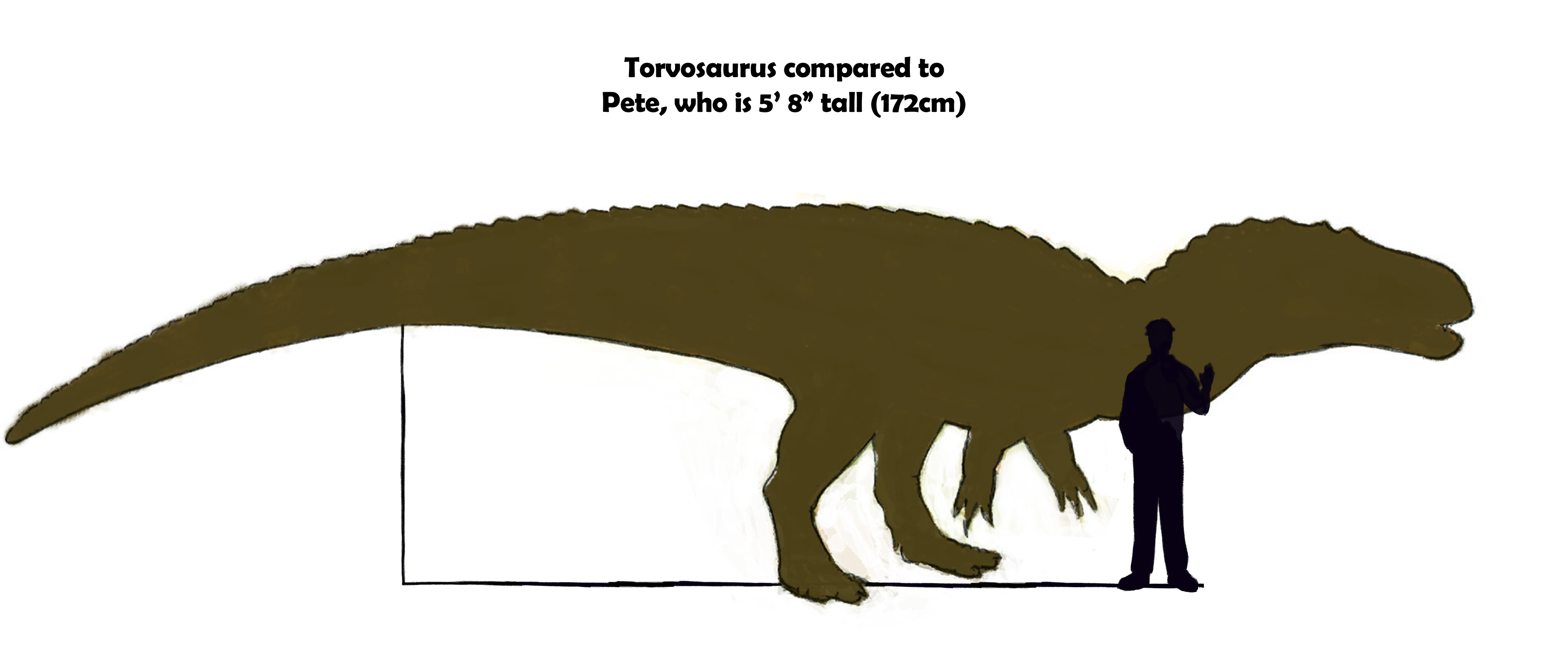Fossil Friday: Torvosaurus – Pete's Paleo Petshop