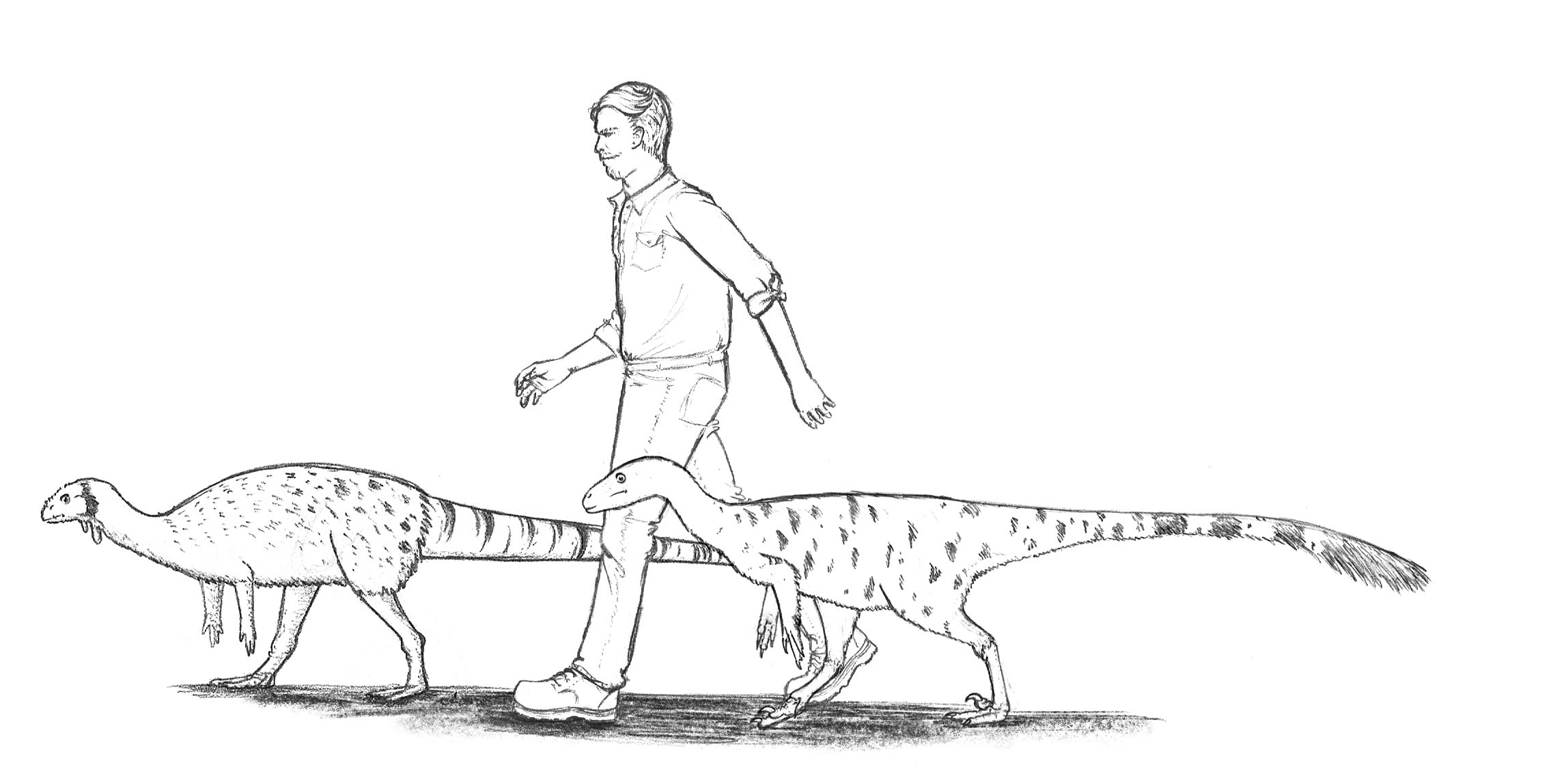 A Character’s journey: Opie – Pete's Paleo Petshop